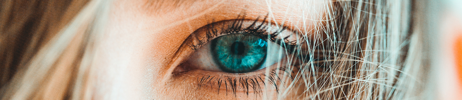 The Eye, How it Works & Glaucoma Test - The Glaucoma Foundation